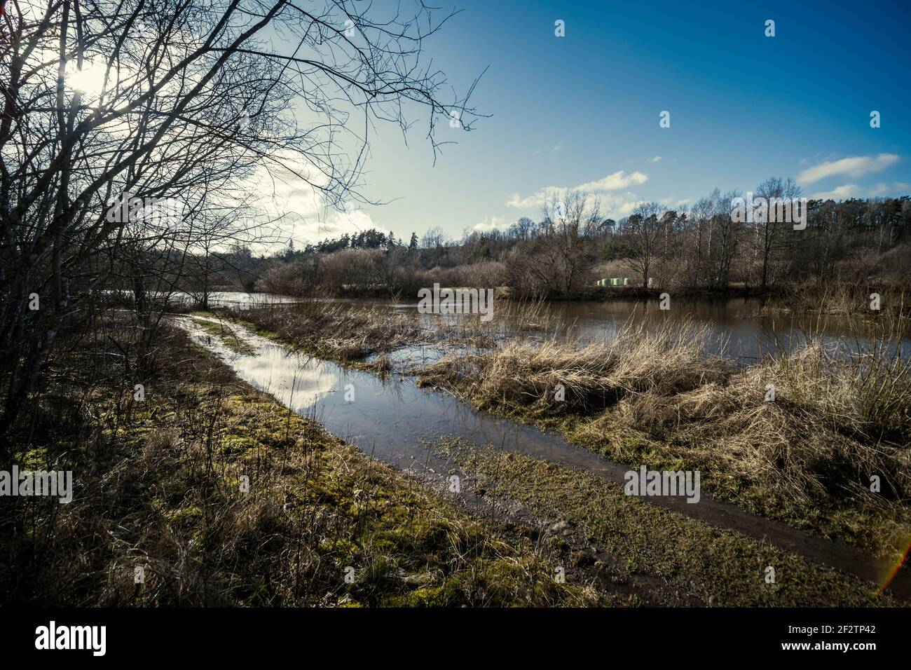 countryside forest river with blue water and rocks on the shore with ...