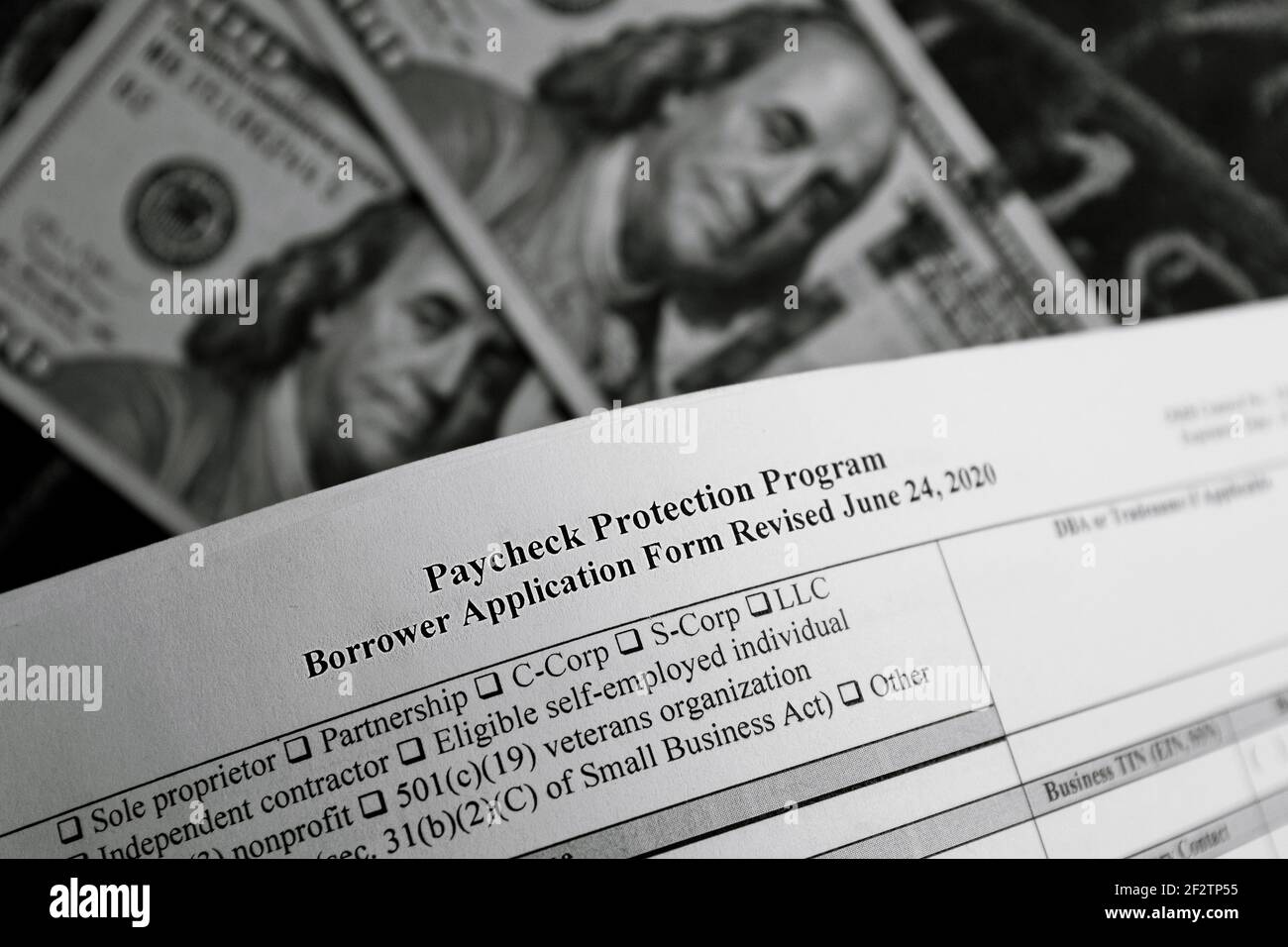 selective focus monochrome photo of paycheck protection program ...