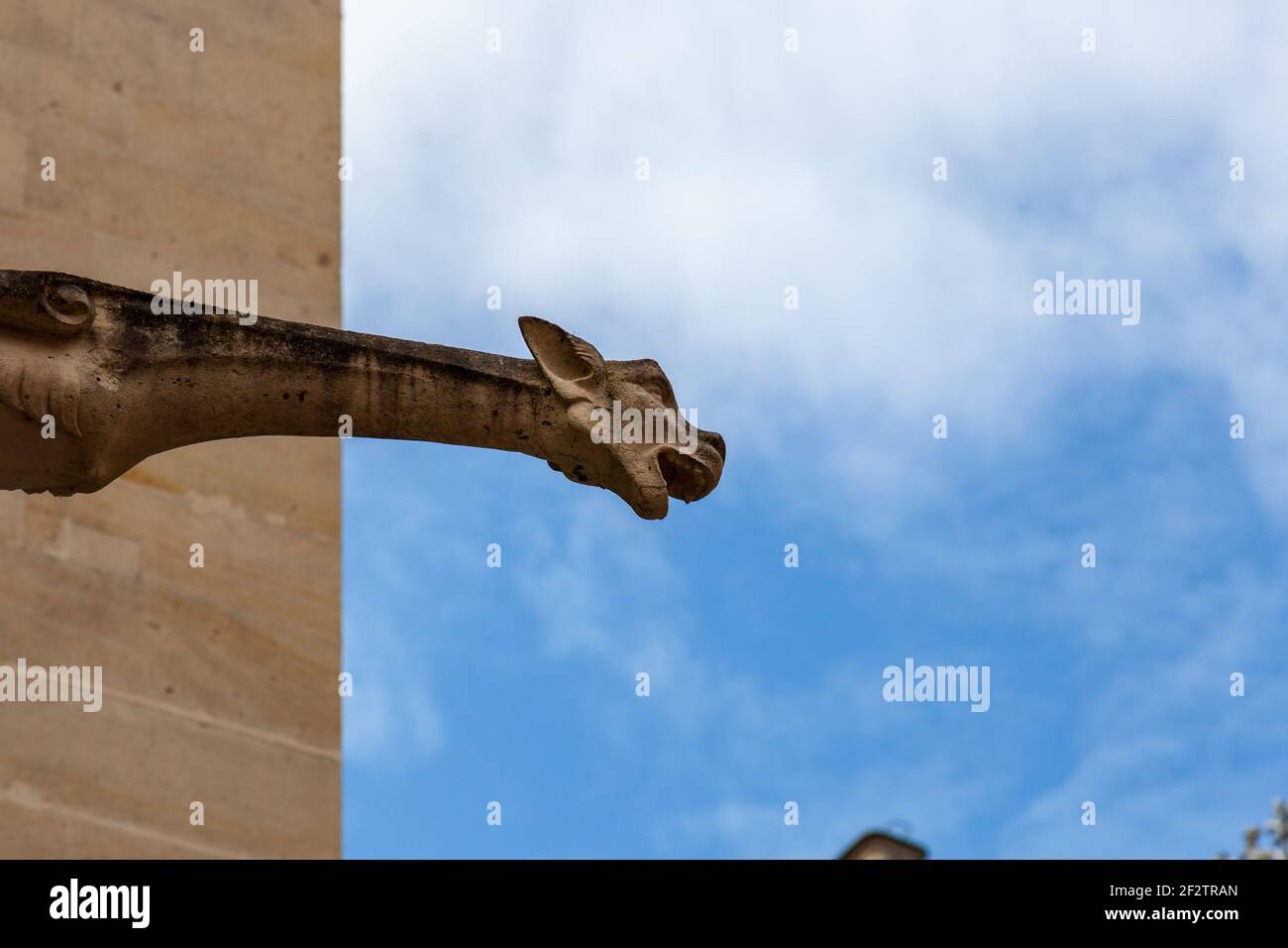 A gargoyle at the restored castle of Pierrefonds in Picardie, France ...
