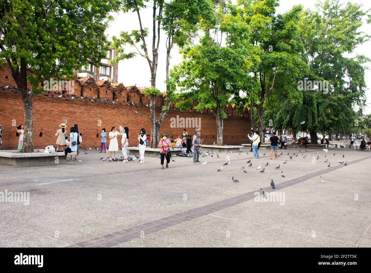Thai people and foreign traveler travel visit Thapae ancient gate or ...
