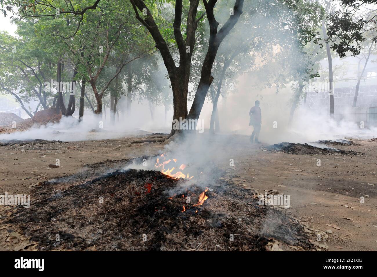 Burning polluted environment hi-res stock photography and images - Alamy