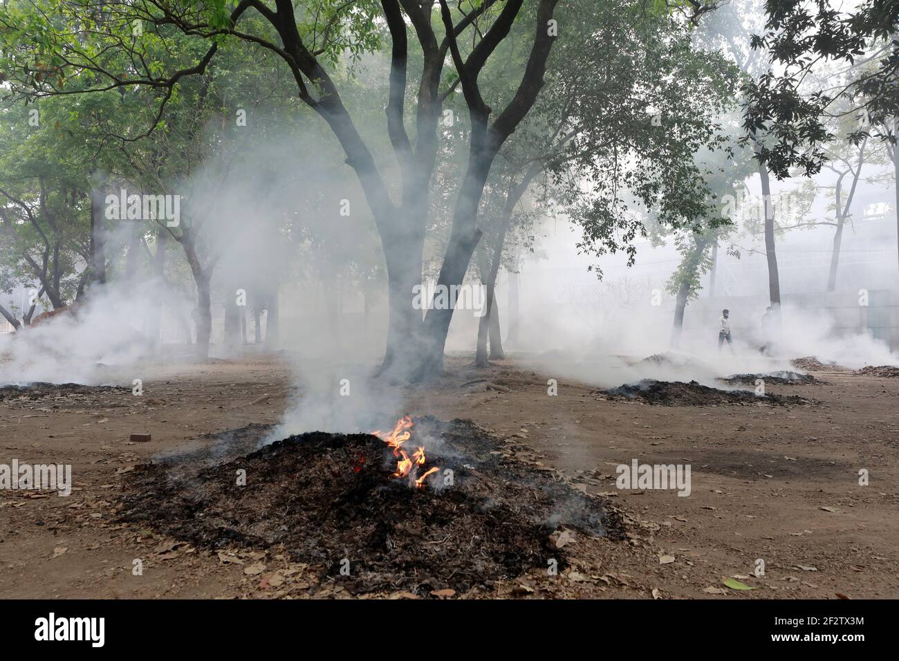 Burning polluted environment hi-res stock photography and images - Alamy