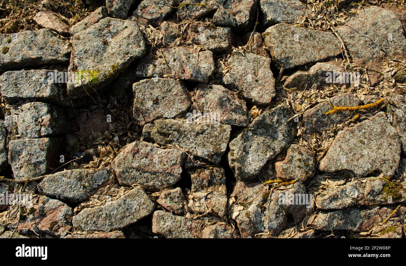Cobblestone with grass texture stone path road pathway background of ...