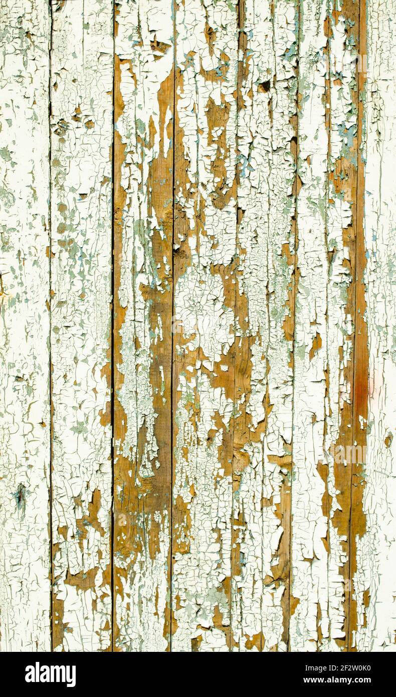 Vintage wood background with peeling paint. Old board with Irradiated ...