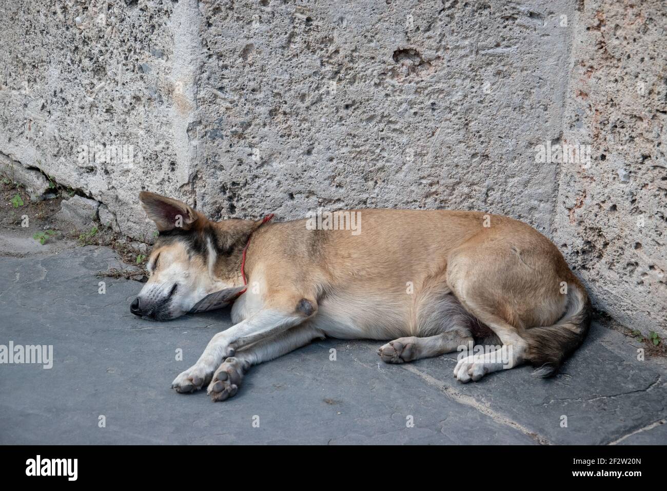 In Havana Cuba, More than a dozen state institutions have 'adopted' a ...