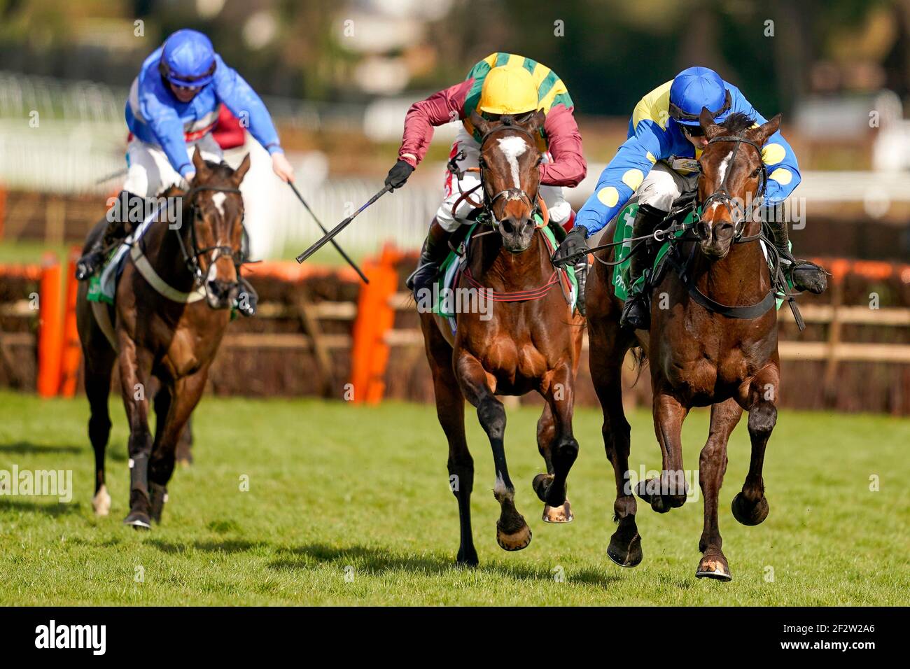 Langer dan horse hi-res stock photography and images - Alamy