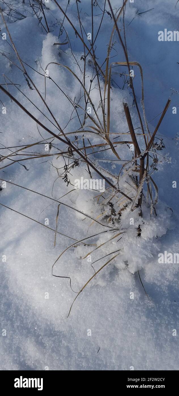 Breaking surface nature hi-res stock photography and images - Alamy