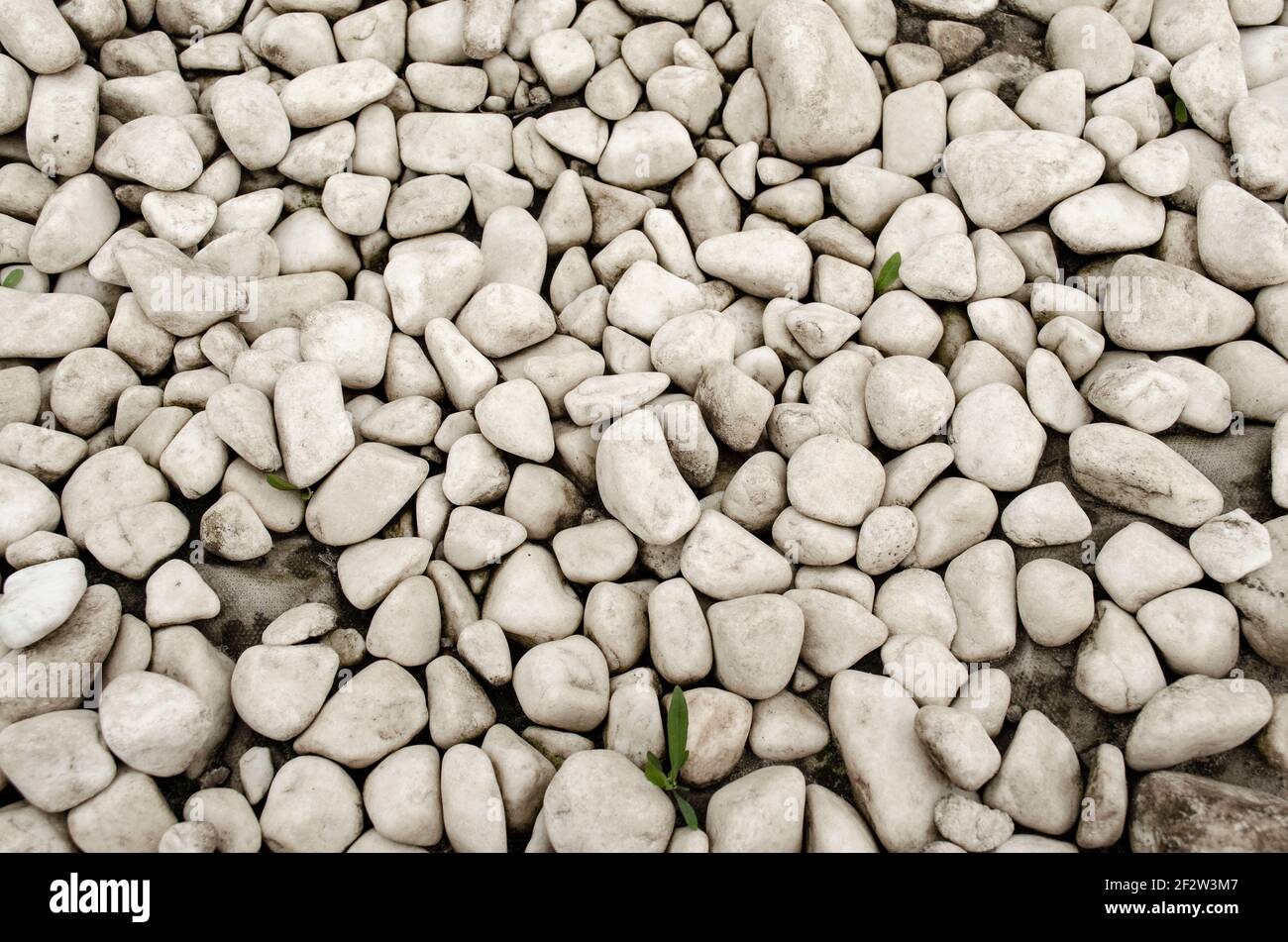 White pebble on the small garden ground inside the house. Background of ...
