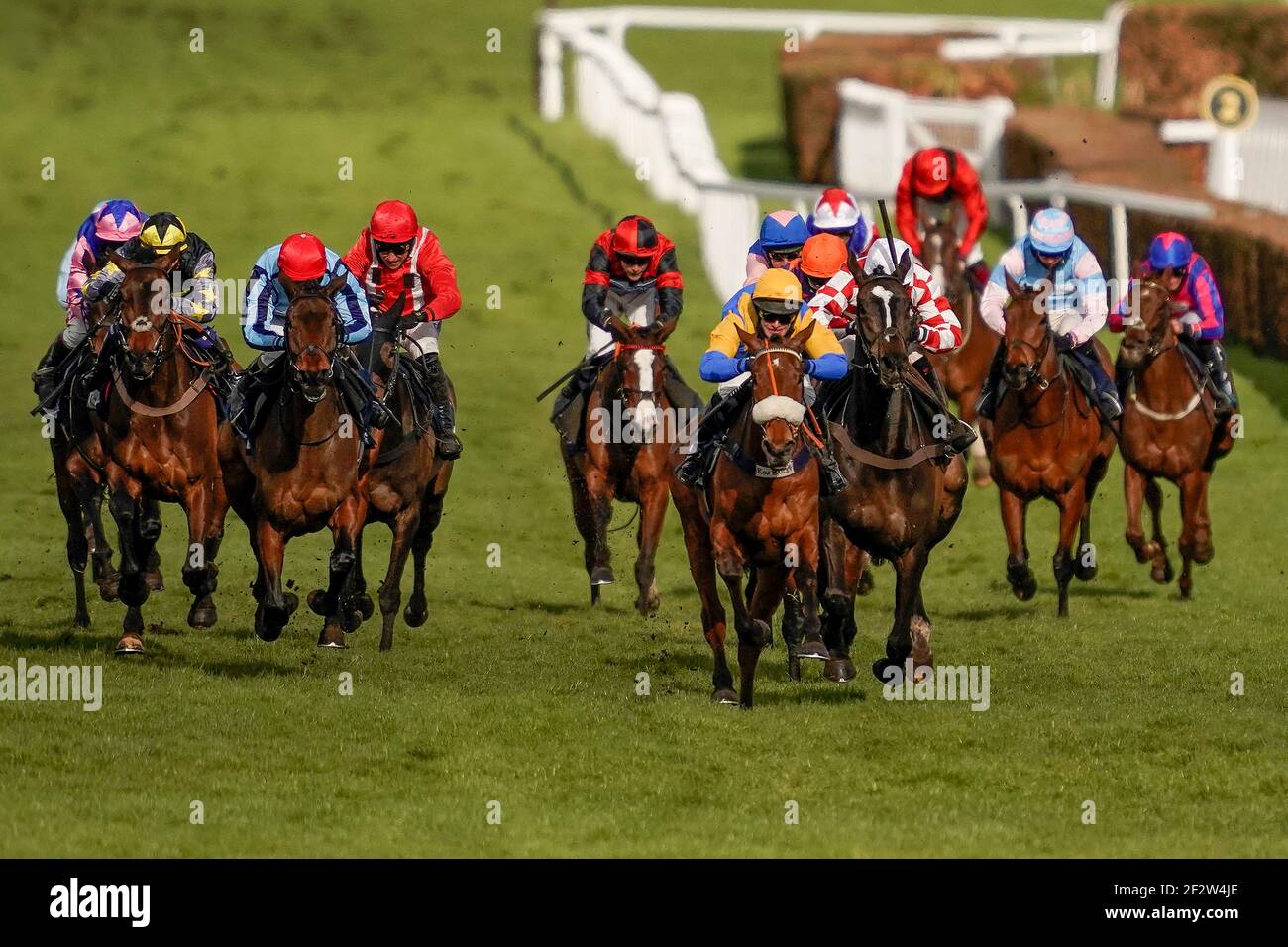 Winning british stallion studs ebf mares hi-res stock photography and ...
