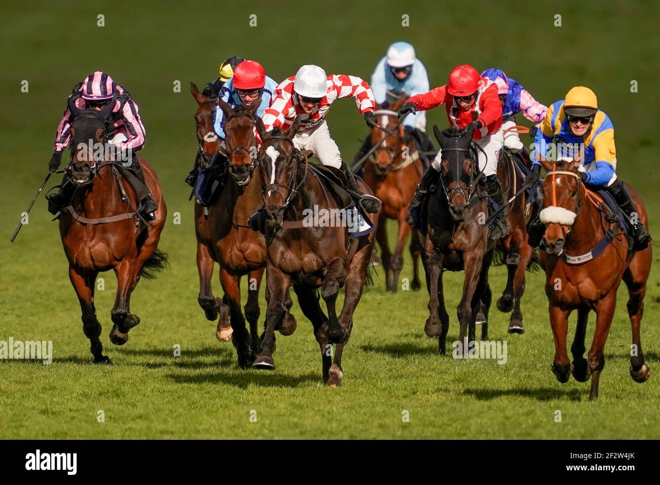 Winning british stallion studs ebf mares hi-res stock photography and ...