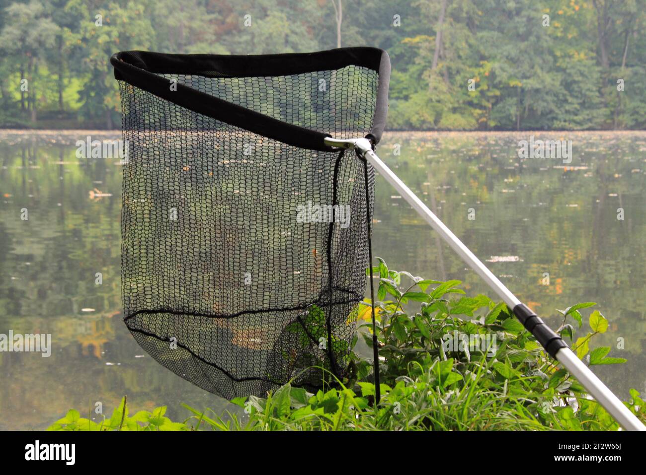 Waiting for the fish hi-res stock photography and images - Alamy