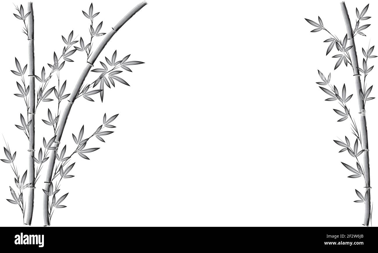 bamboo design background Stock Vector Image & Art - Alamy