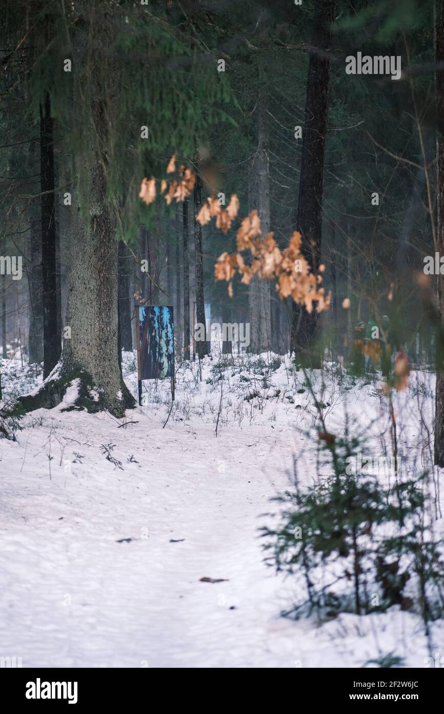 small tree branches and leaves frozen in winter with blur background ...
