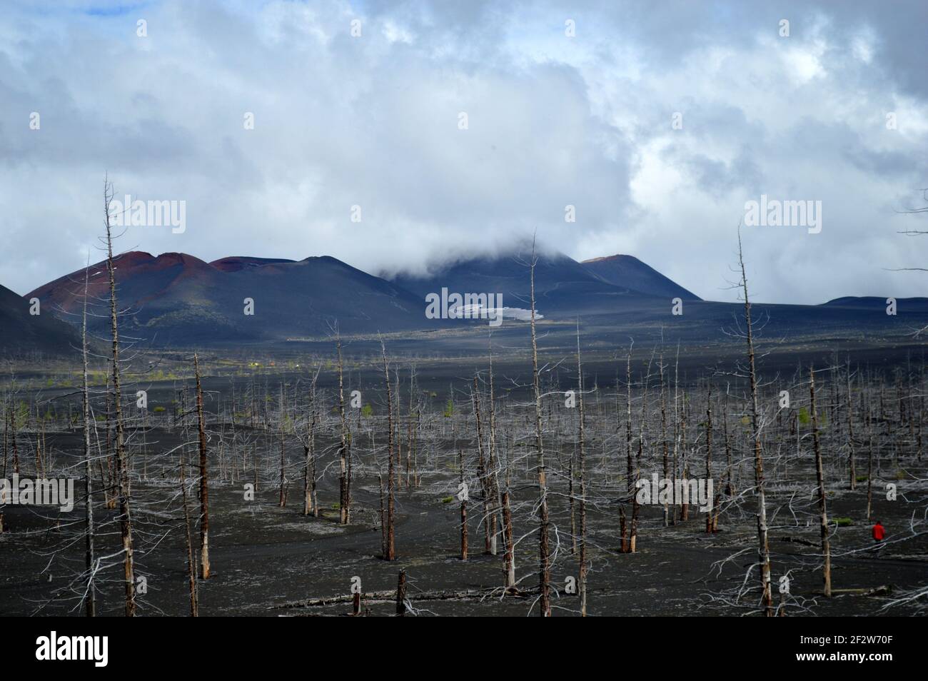 Volcano ash soil hi-res stock photography and images - Alamy