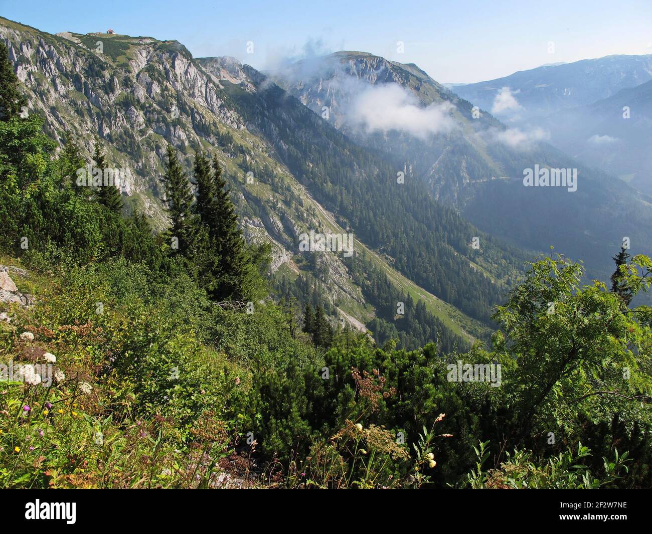 Landscape at hiking track to Schneealpe, Styria, Austria, Europe Stock ...