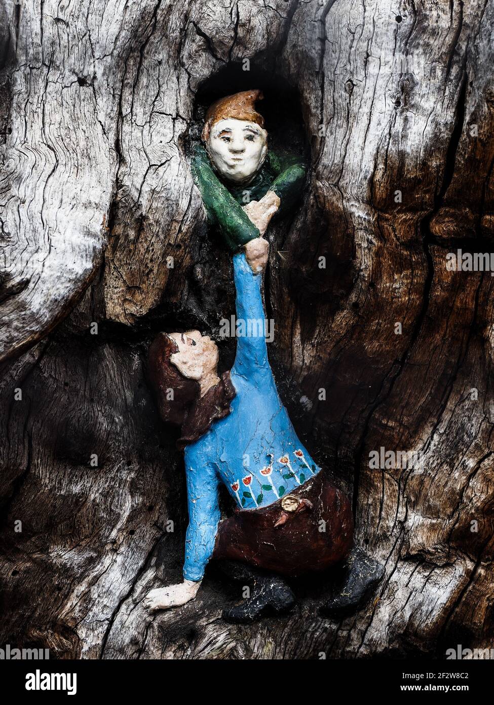 Elfin Oak High Resolution Stock Photography and Images - Alamy