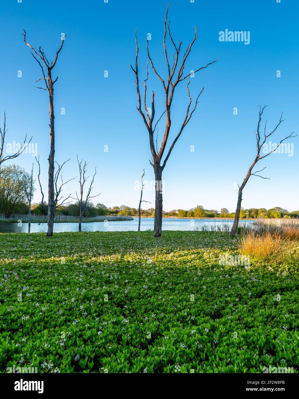 Cramlington High Resolution Stock Photography and Images - Alamy