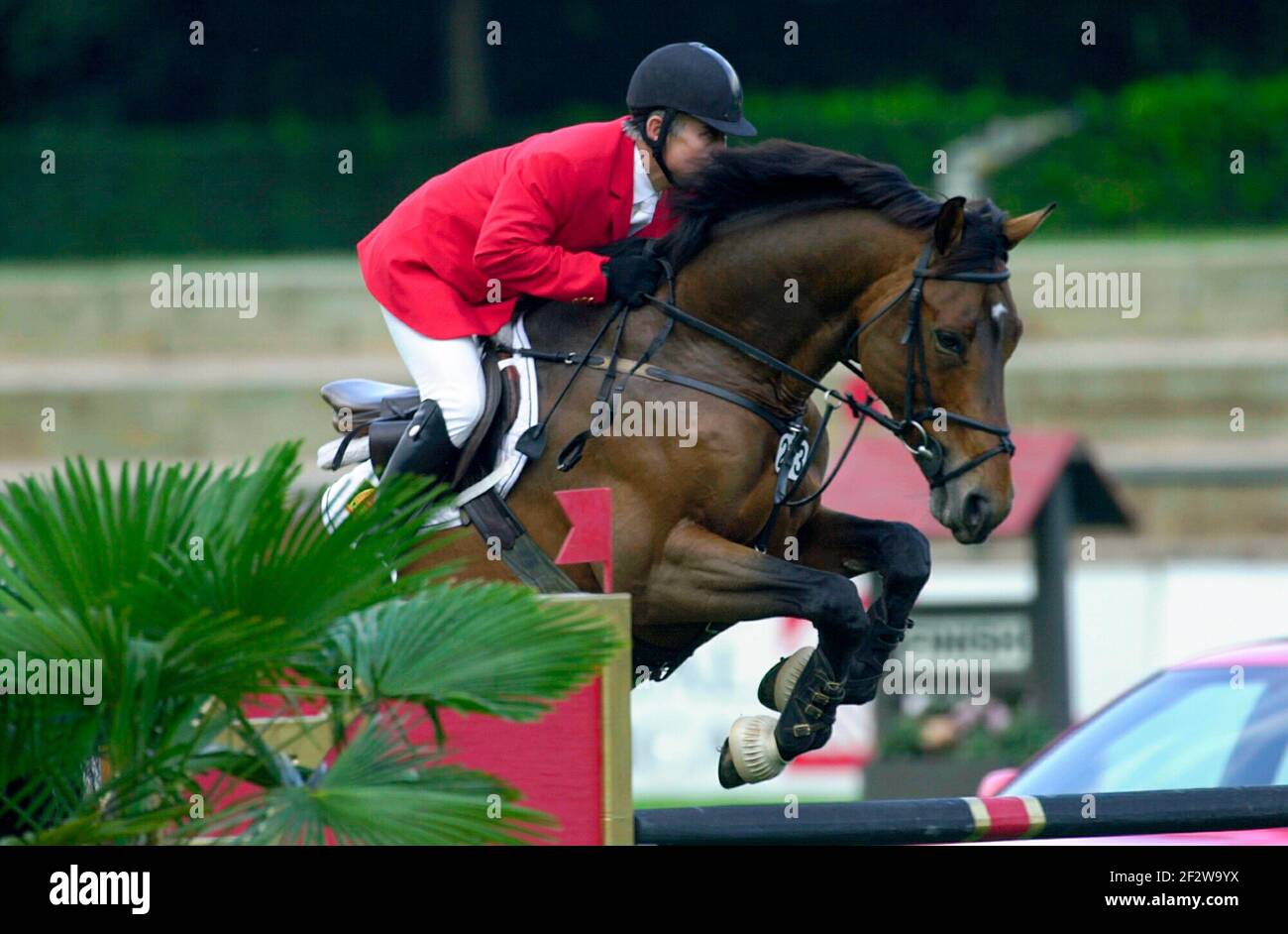 Alfonso Romo (MEX) riding Chapultepec La Silla, dAmericas Championships ...