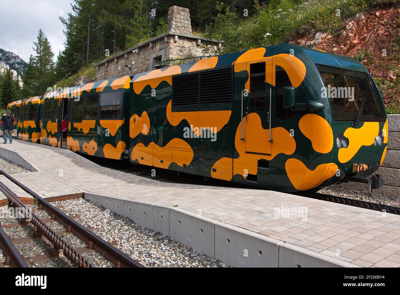 Salamander train hi-res stock photography and images - Alamy