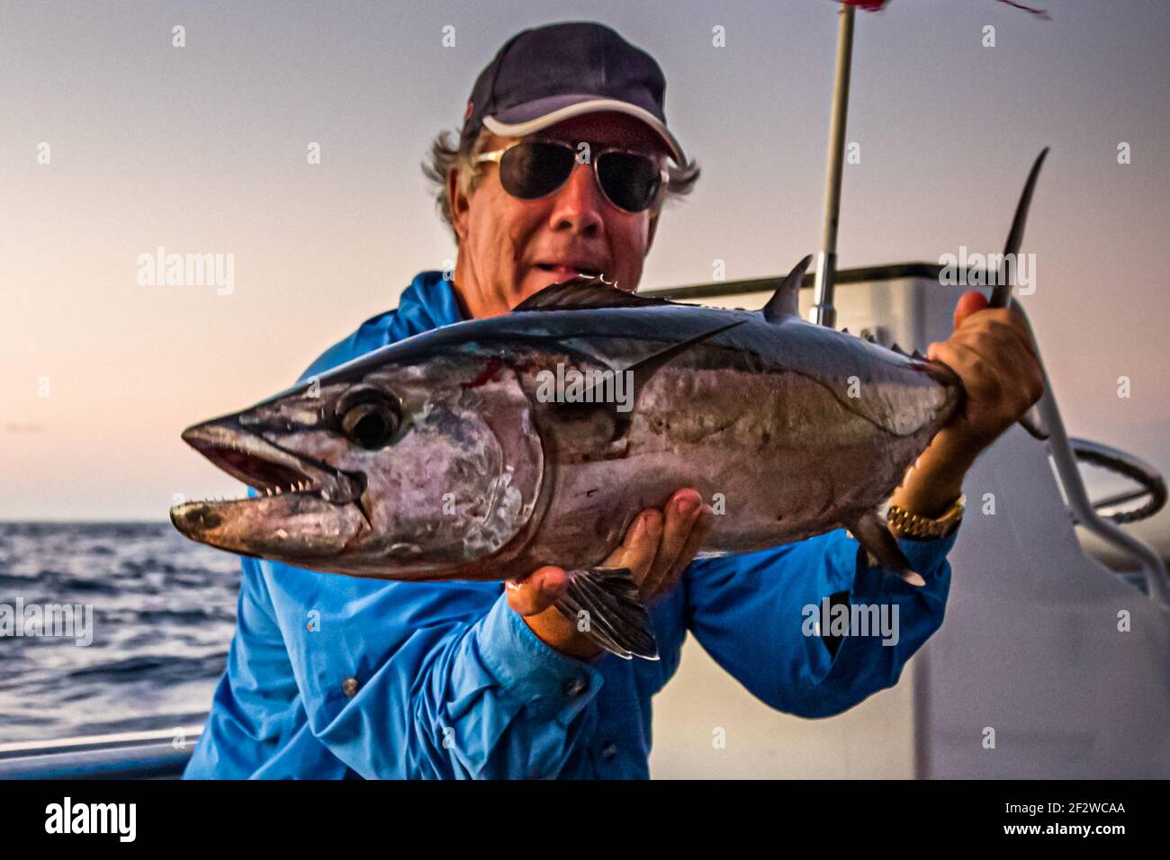 Old tuna fishing hi-res stock photography and images - Alamy