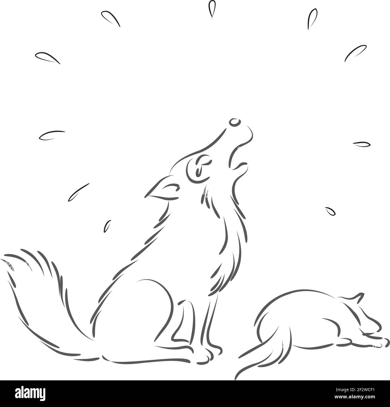 wolf cry to lost the baby Stock Vector Image & Art - Alamy