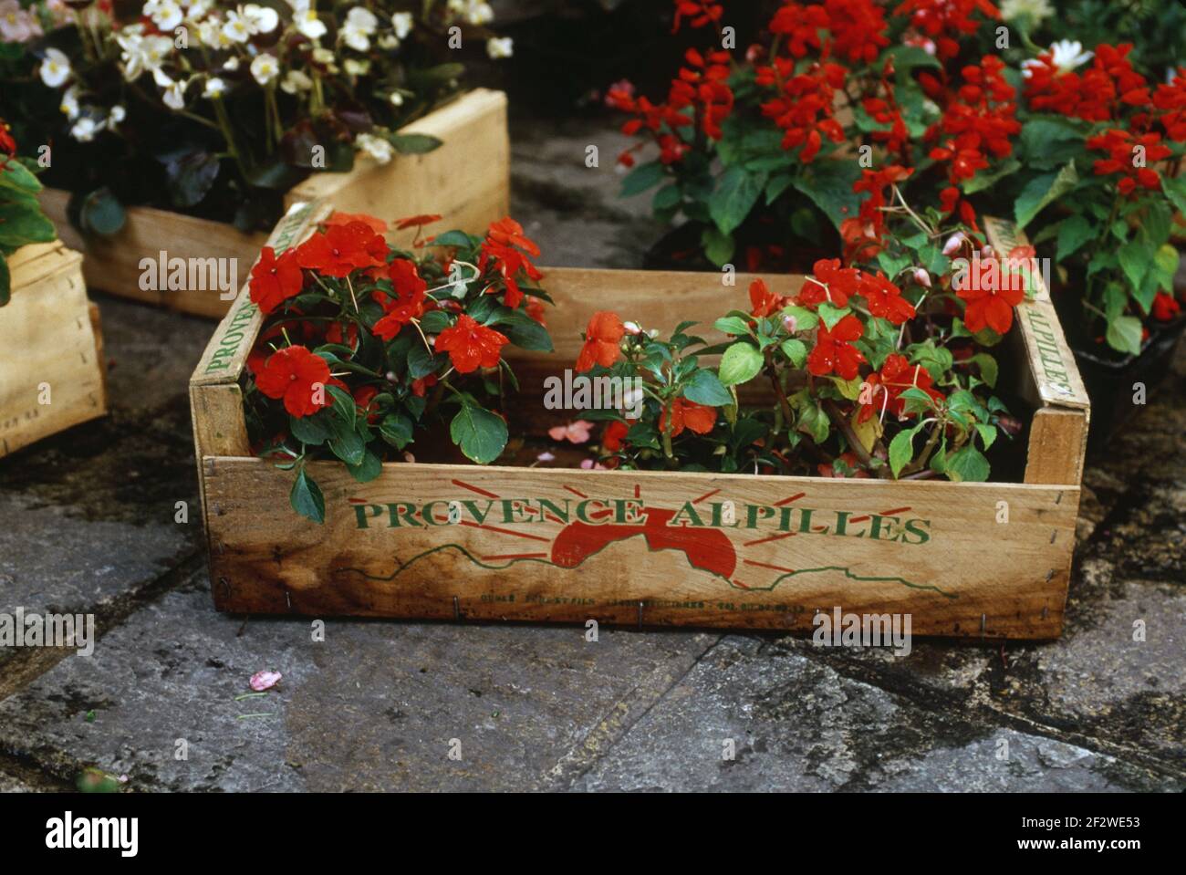 Grasse france flowers hi-res stock photography and images - Alamy