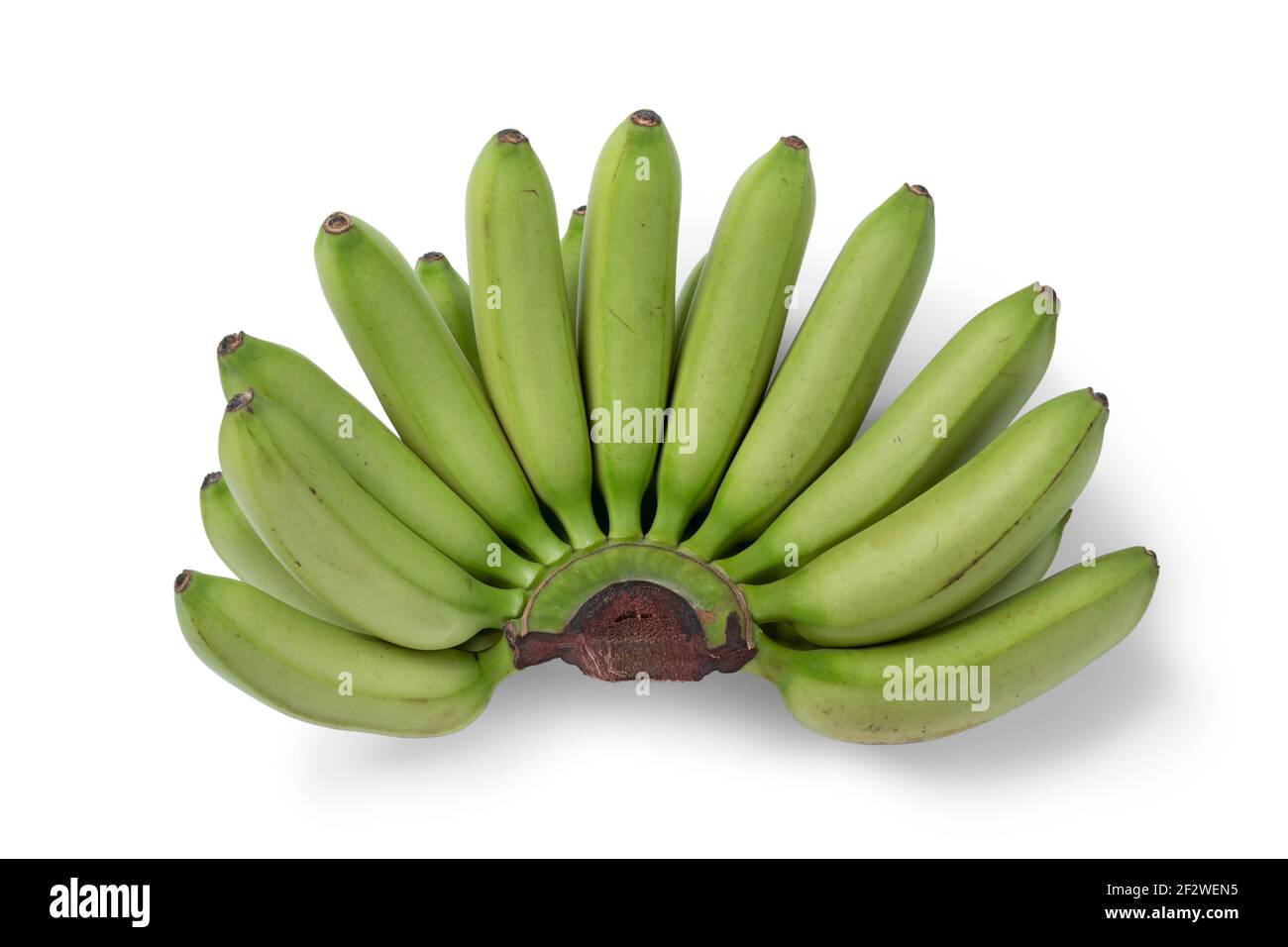 Bunch of green mini bananas isolated on white background Stock Photo ...