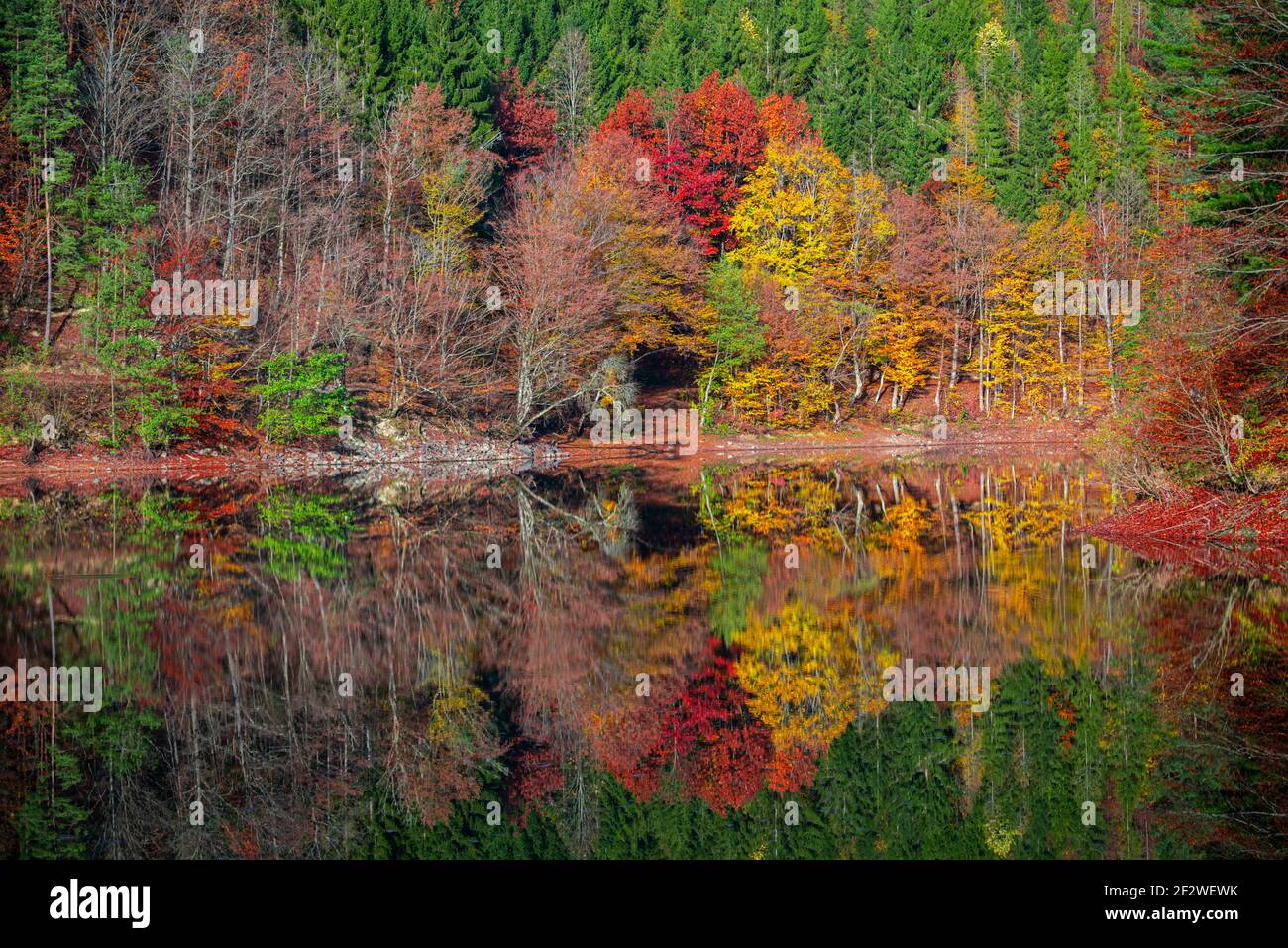 Toxic landscape hi-res stock photography and images - Alamy