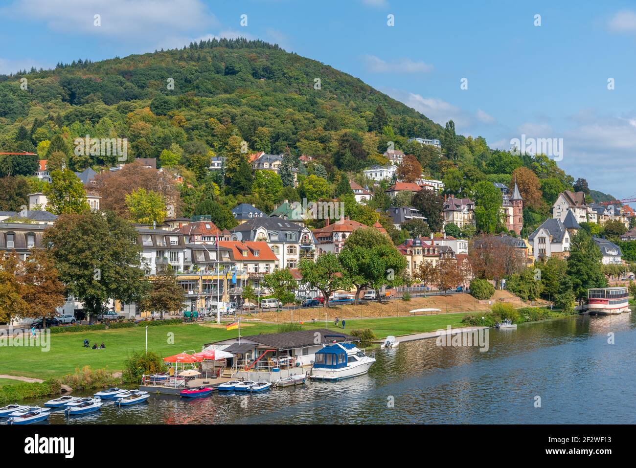 Beautiful villas on riverside of Neckar river in Heidelberg, Germany ...