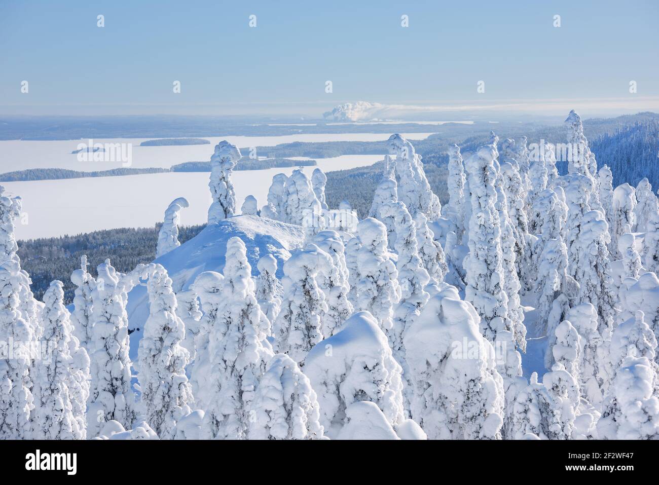 Koli national park winter hi-res stock photography and images - Alamy