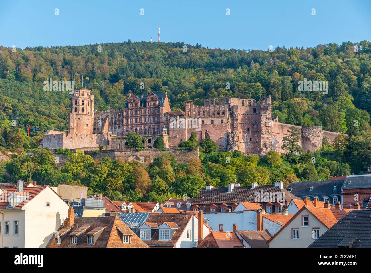 View of the Heidelberg castle in Germany Stock Photo - Alamy