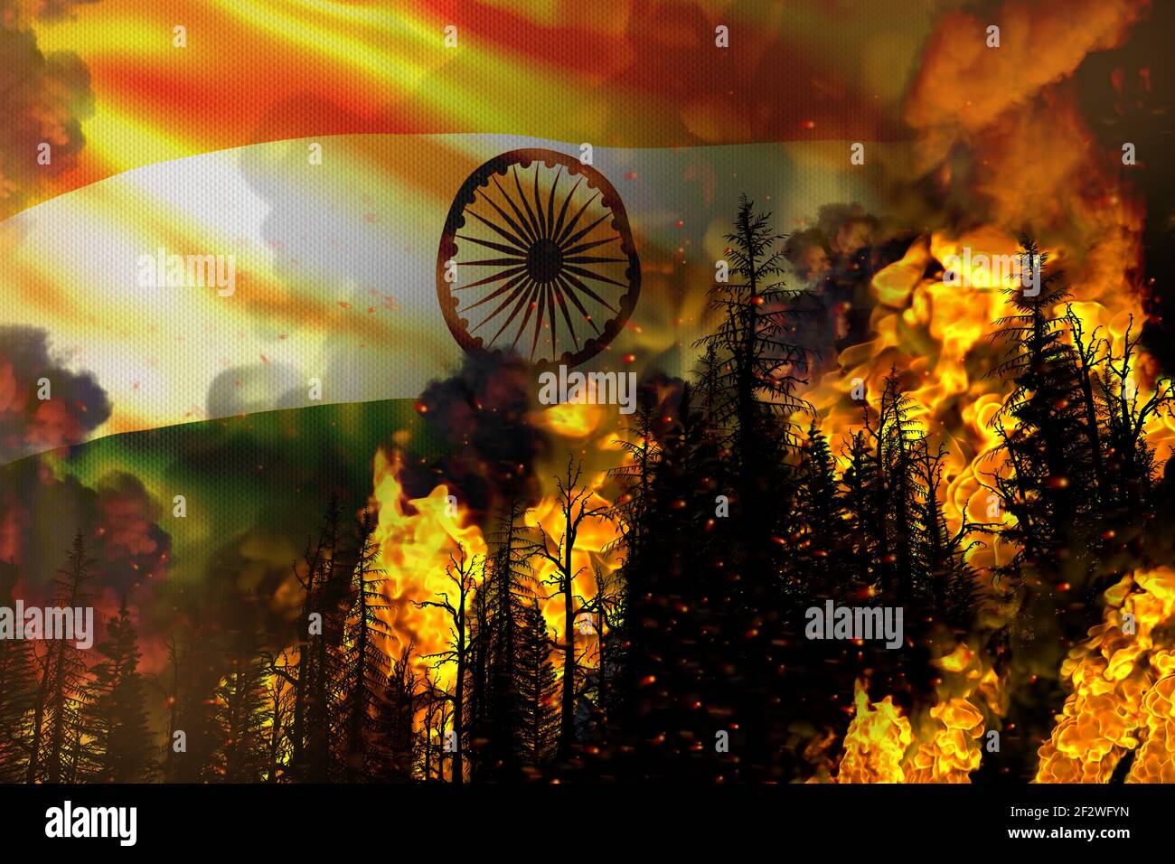 Forest fire natural disaster concept - burning fire in the trees on ...