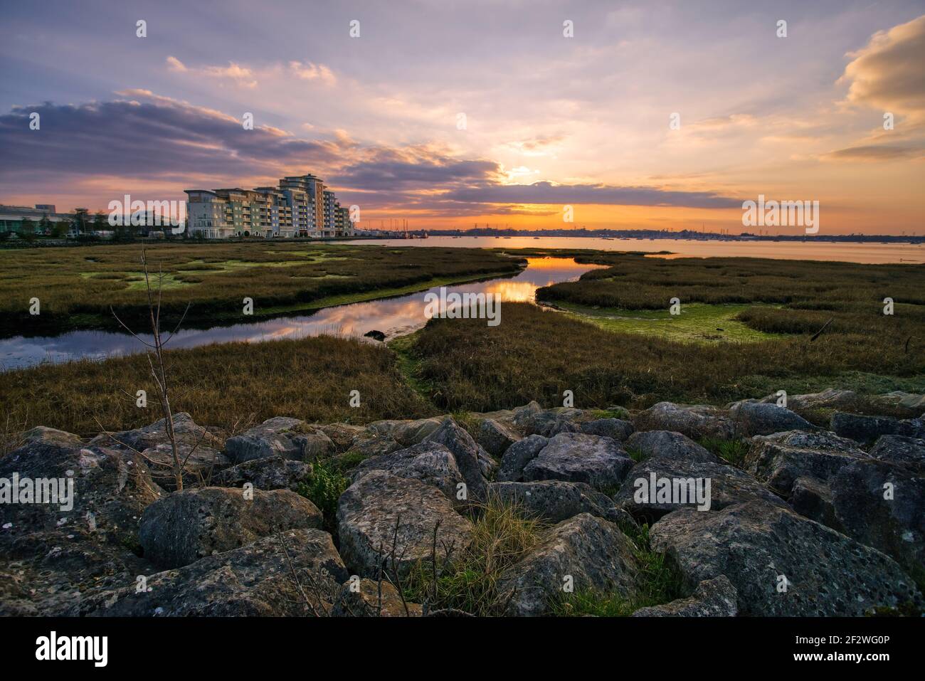 Urban Marsh, Holes Bay, Poole, Dorset Stock Photo - Alamy