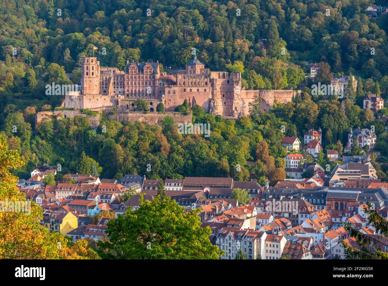 View of the Heidelberg castle in Germany Stock Photo - Alamy