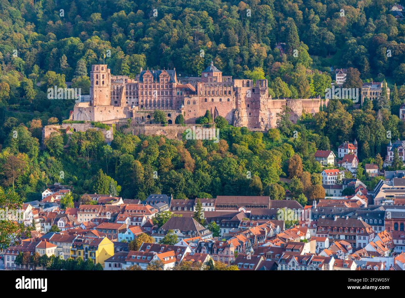 View of the Heidelberg castle in Germany Stock Photo - Alamy