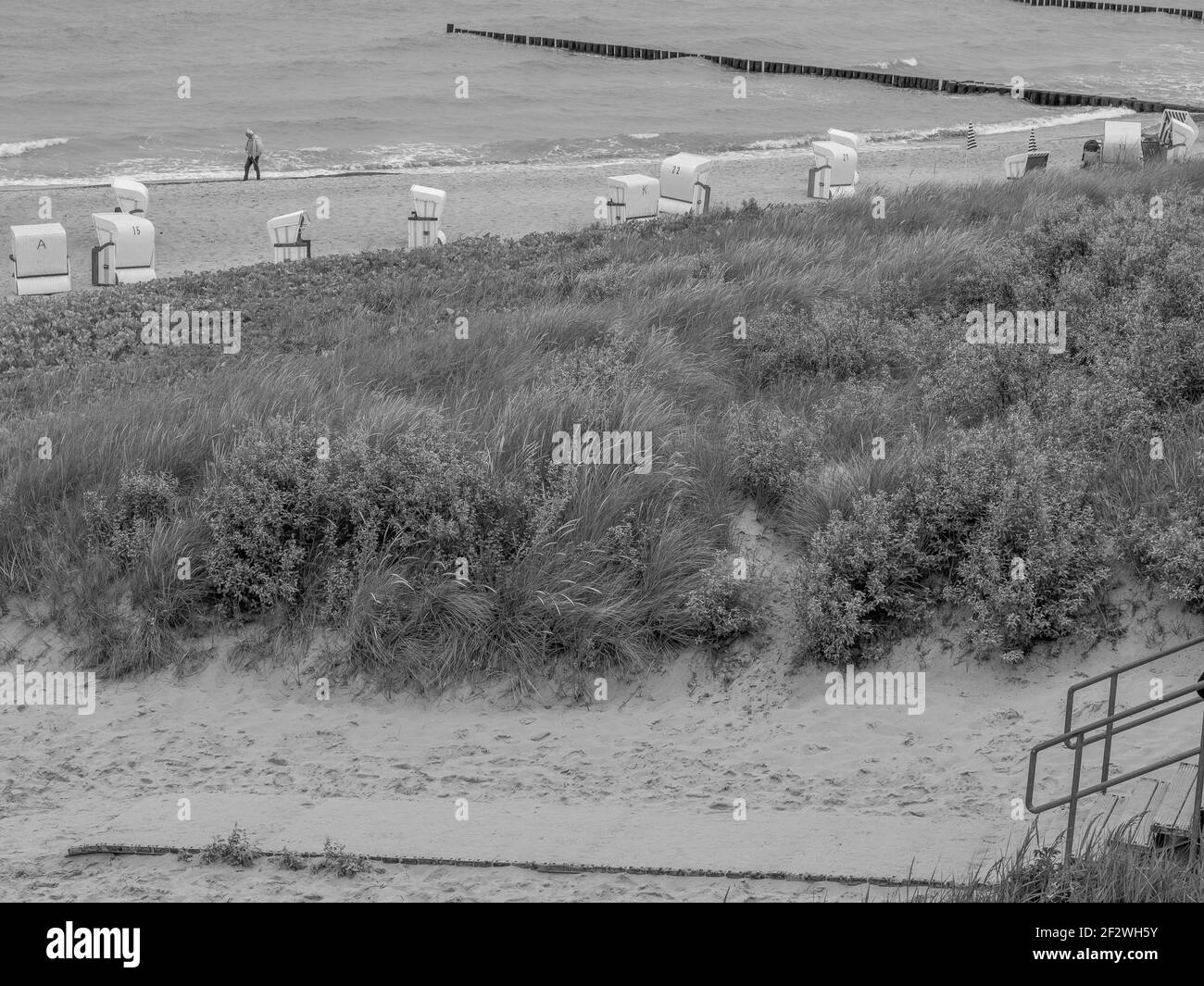 the island of zingst in germany Stock Photo - Alamy