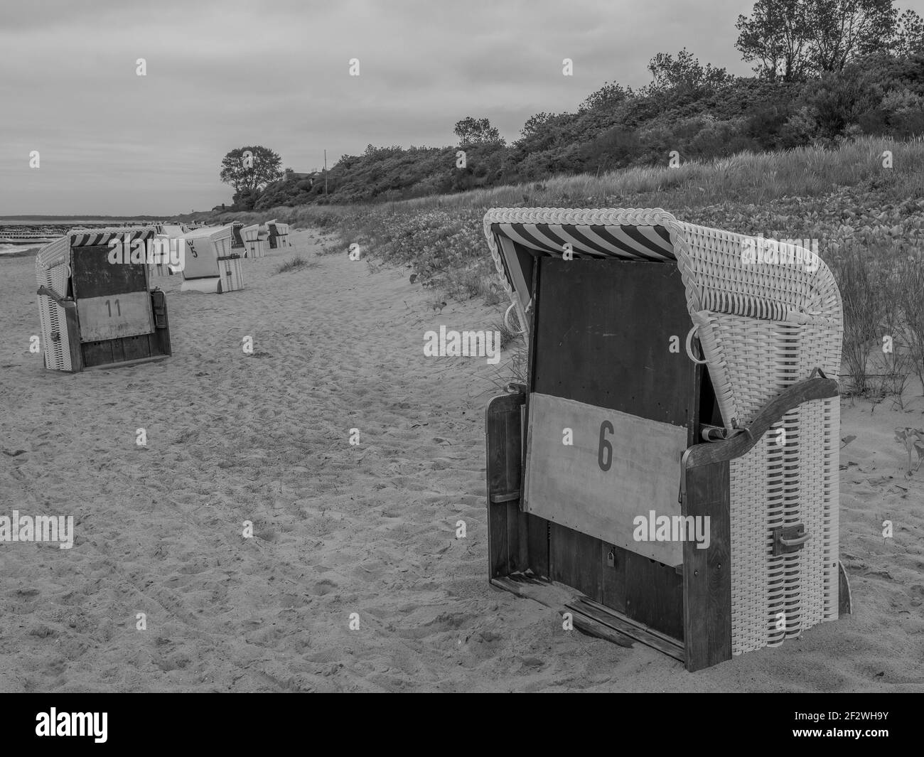 the island of zingst in germany Stock Photo - Alamy