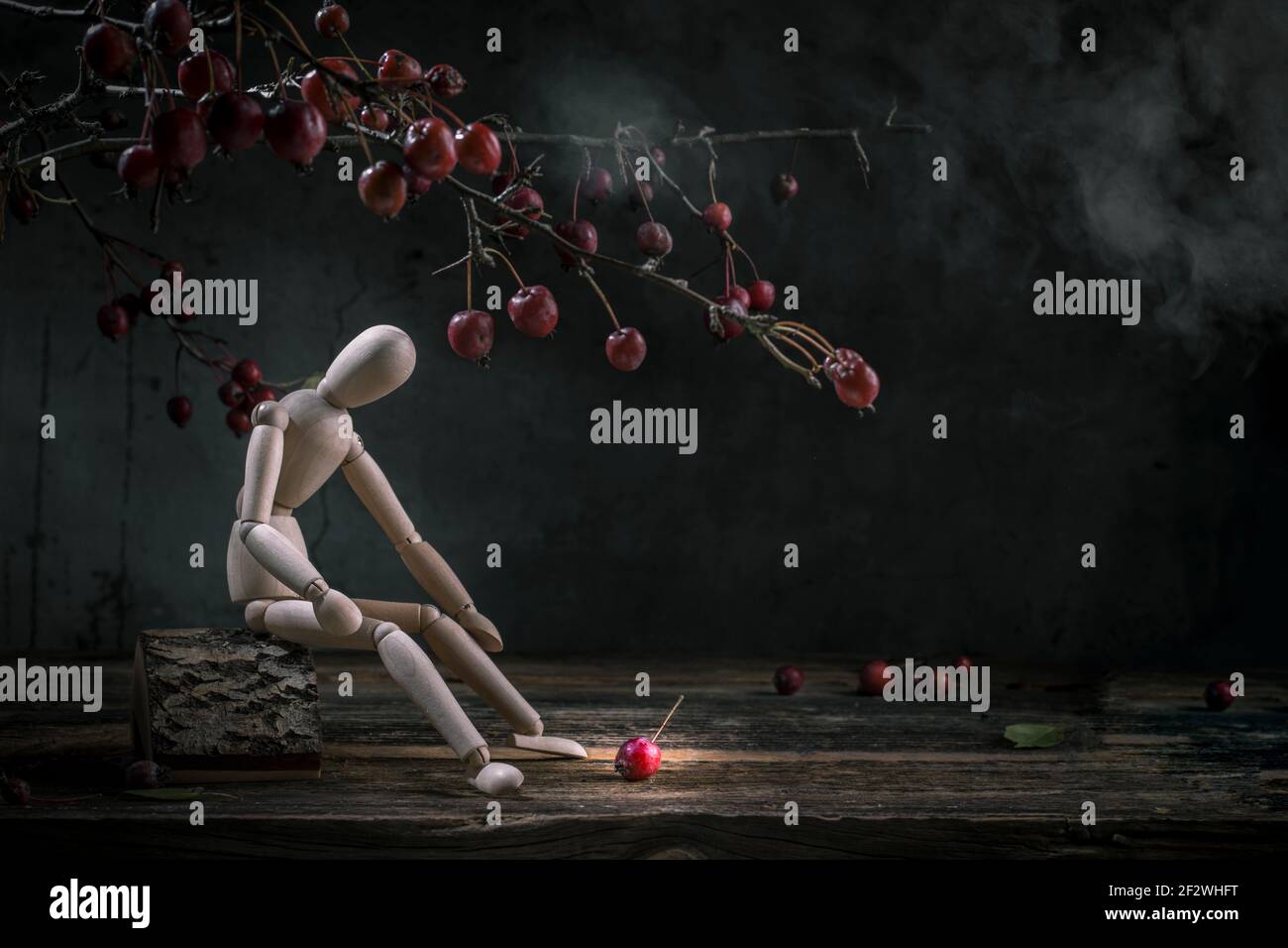 Law of Universal Gravitation education funny concept. Isaac Newton ...