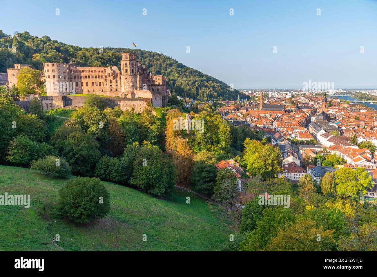 Heidelberg castle na dpanorama of the old town, Germany Stock Photo - Alamy