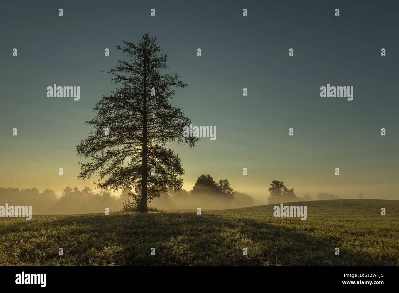 Beautiful fog morning sun hi-res stock photography and images - Alamy