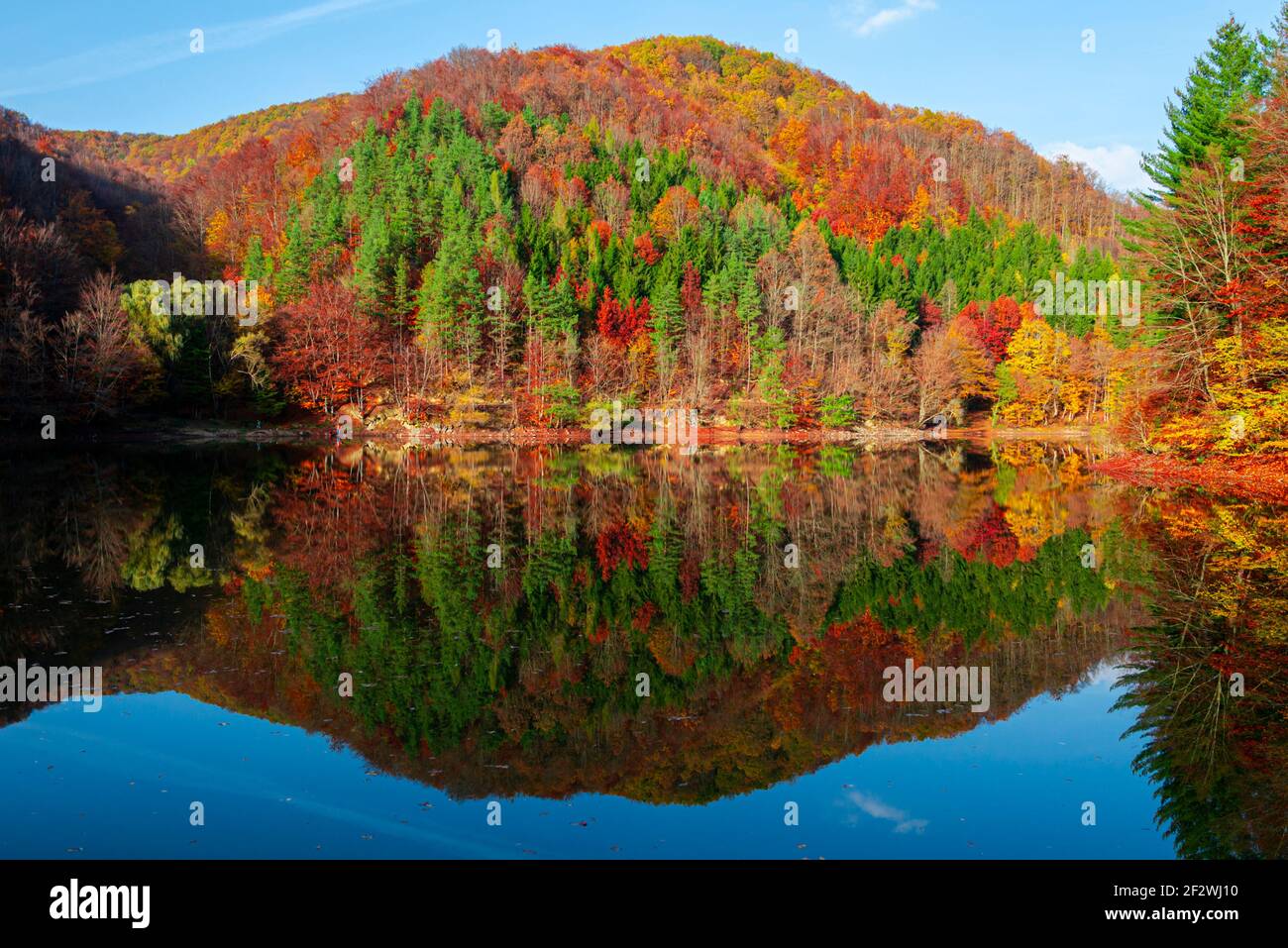 Toxic landscape hi-res stock photography and images - Alamy