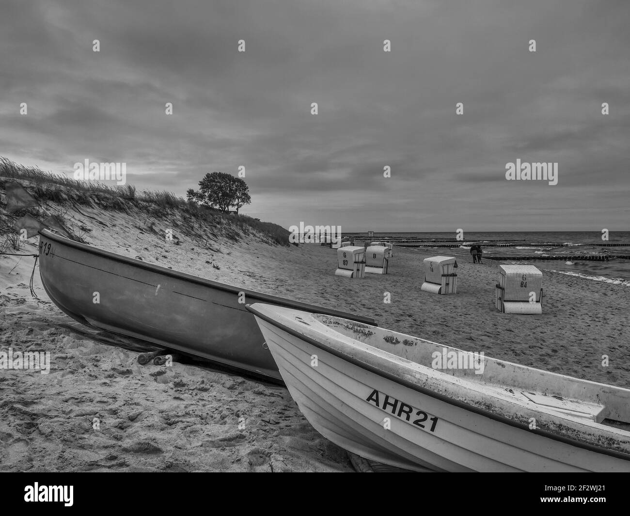 the island of zingst in germany Stock Photo - Alamy