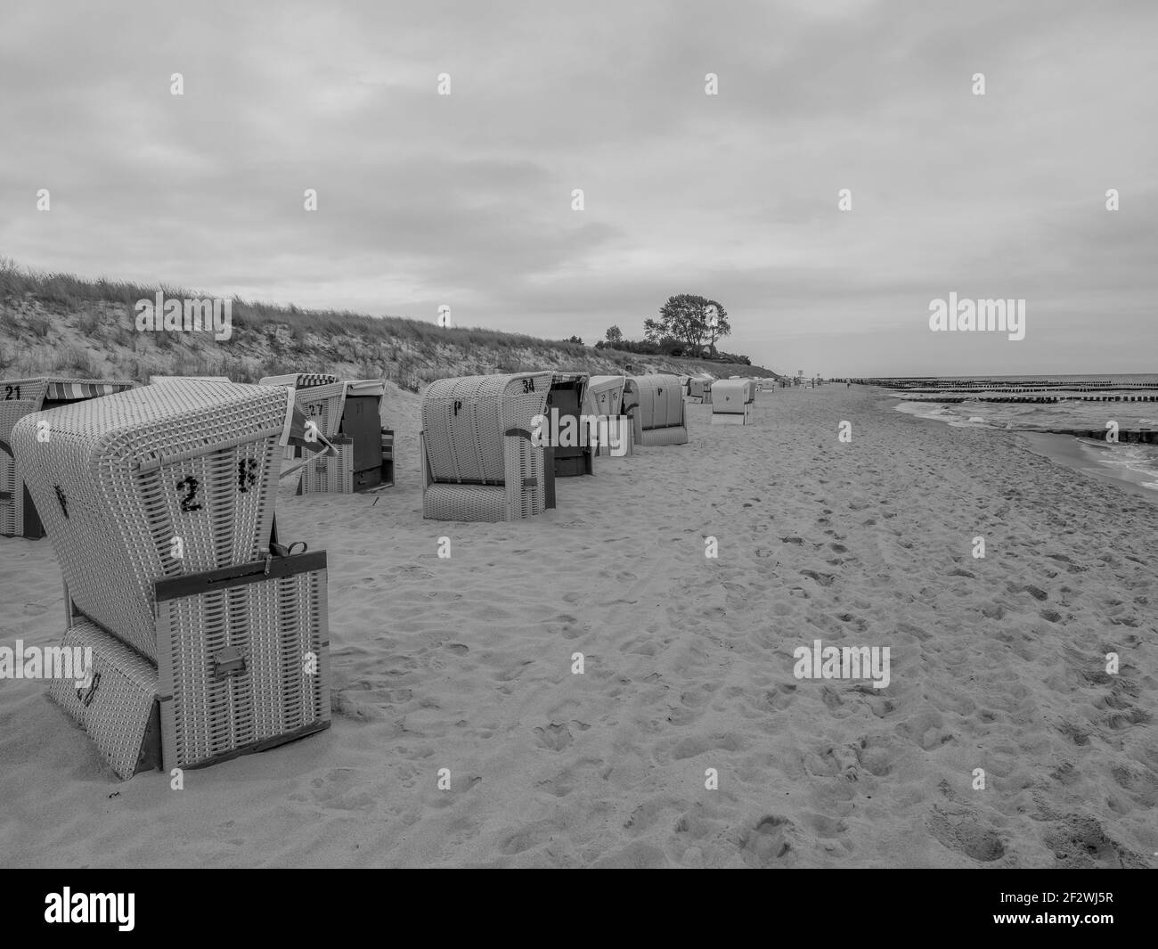 the island of zingst in germany Stock Photo - Alamy