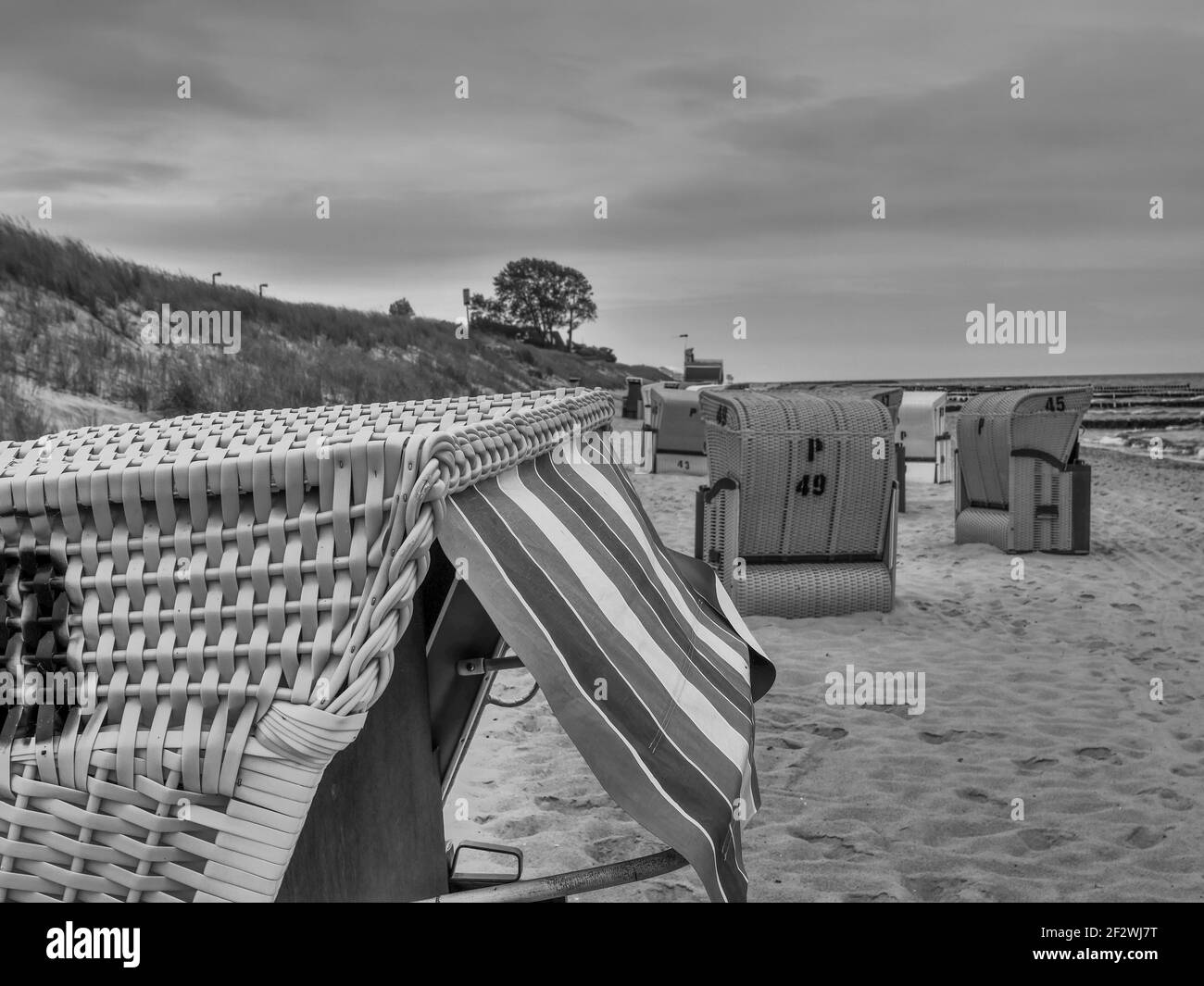 the island of zingst in germany Stock Photo - Alamy