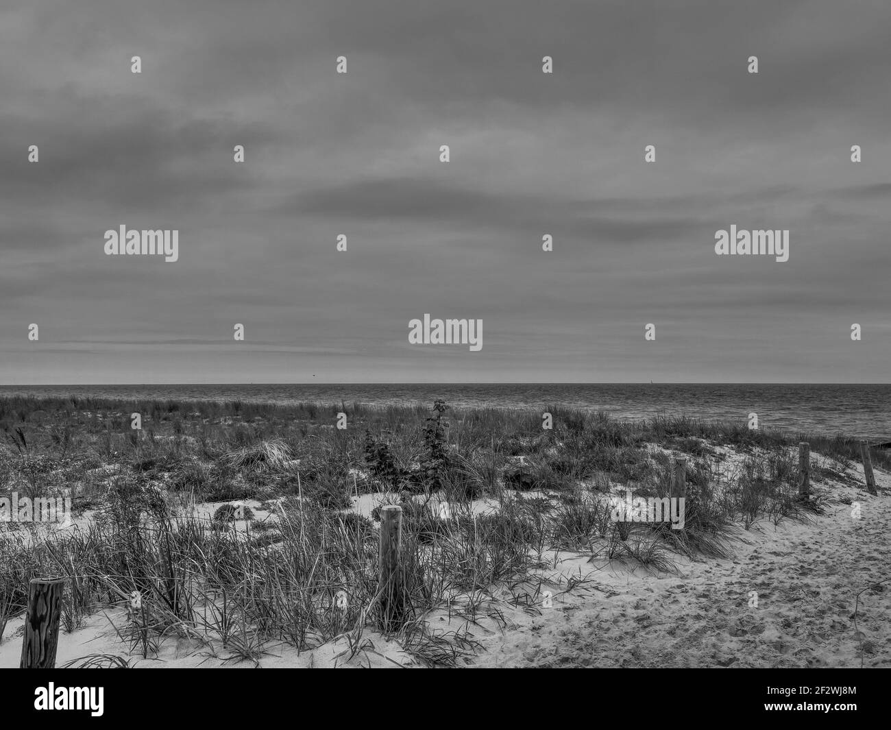 the island of zingst in germany Stock Photo - Alamy