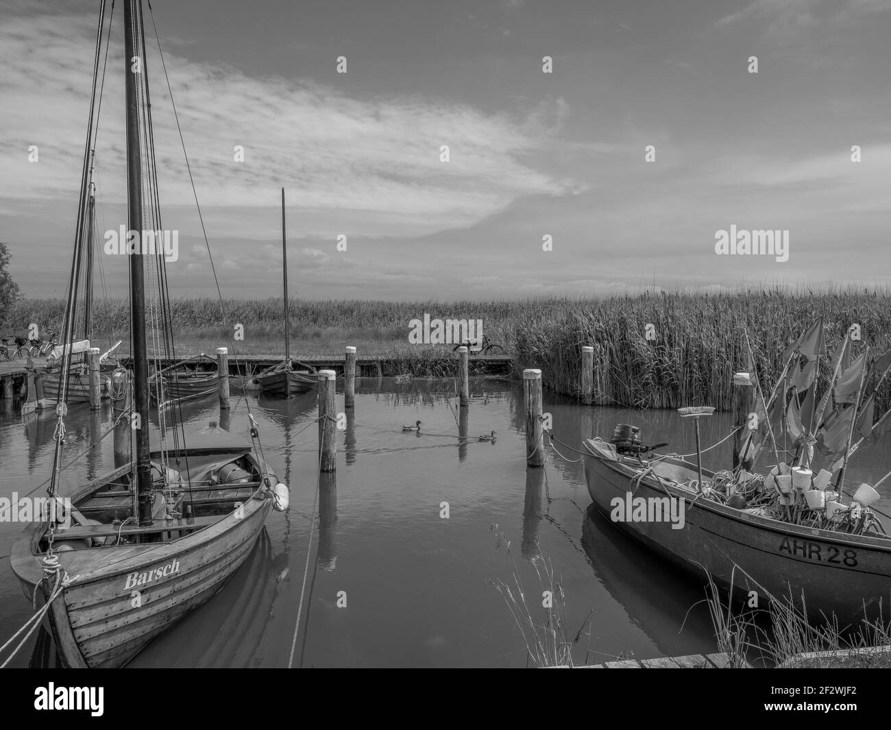the island of zingst in germany Stock Photo - Alamy