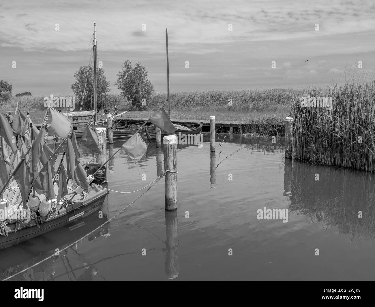 the island of zingst in germany Stock Photo - Alamy