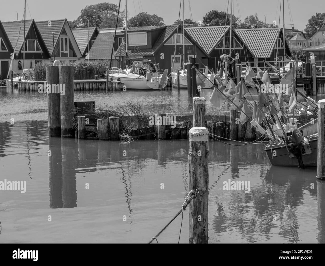 the island of zingst in germany Stock Photo - Alamy