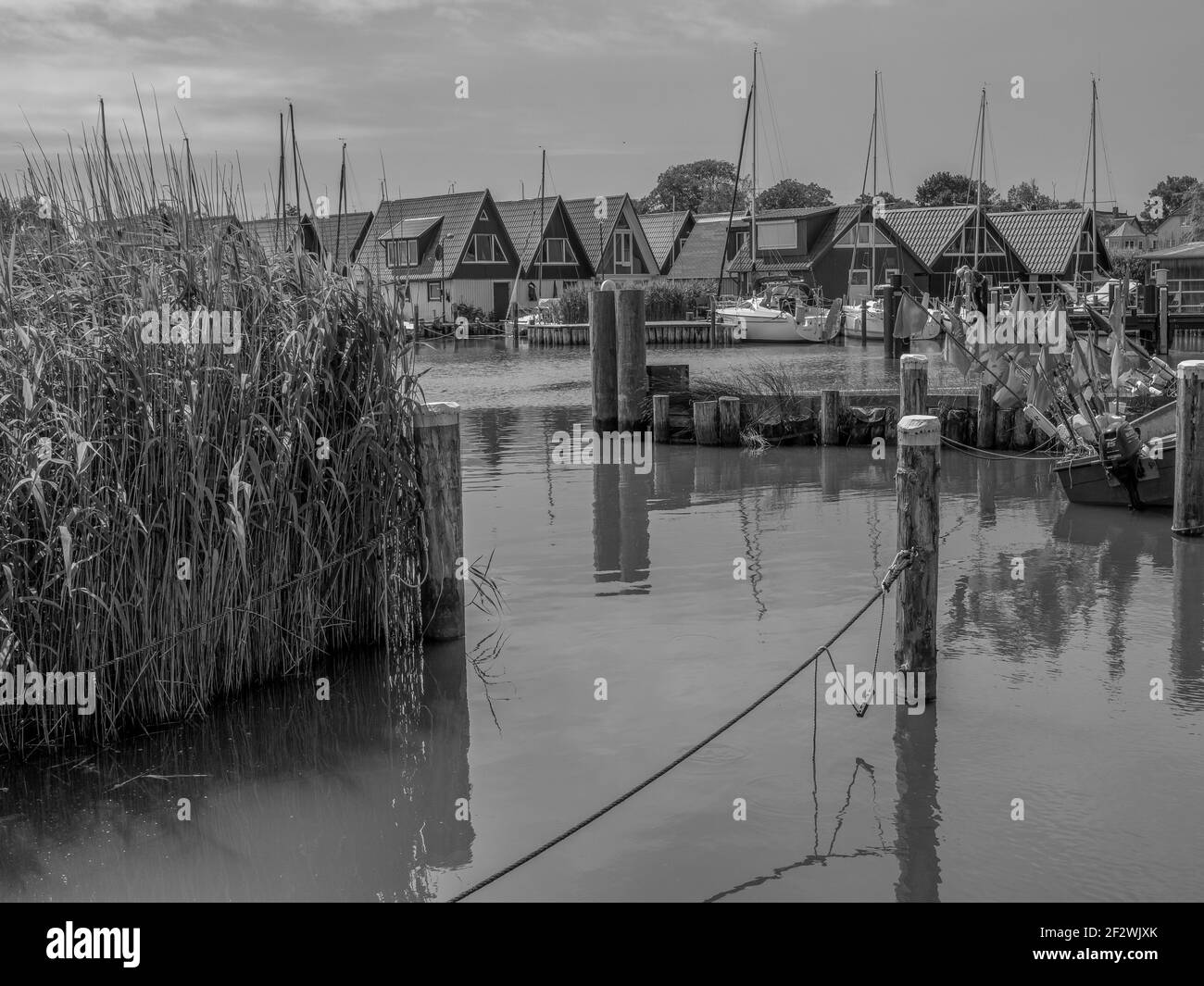 the island of zingst in germany Stock Photo - Alamy