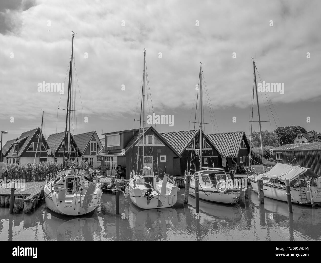 the island of zingst in germany Stock Photo - Alamy